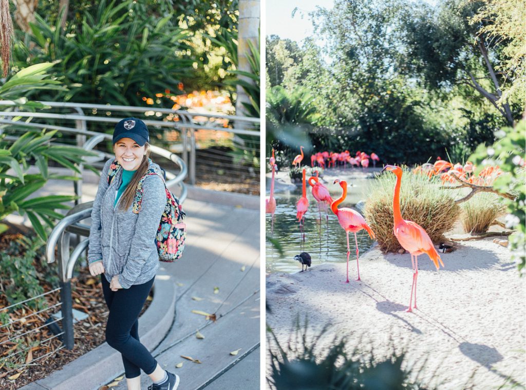 Spring Break 2017 // Solana Beach California | Shelby Lea Photography