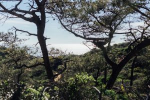 Spring Break 2017 // Solana Beach California | Shelby Lea Photography
