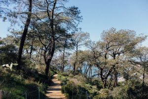 Spring Break 2017 // Solana Beach California | Shelby Lea Photography