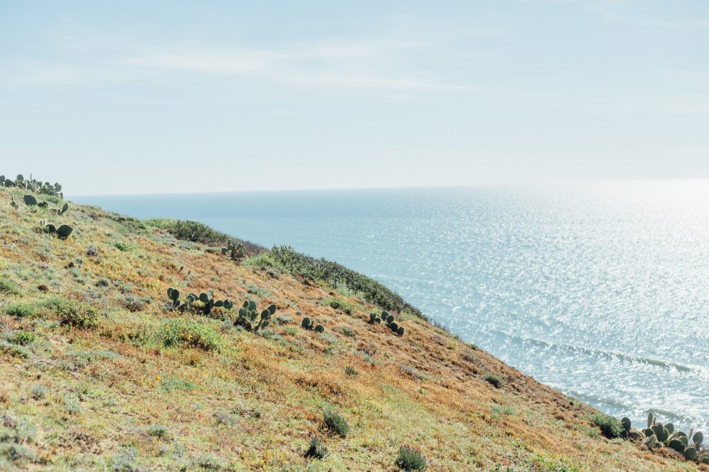 Spring Break 2017 // Solana Beach California | Shelby Lea Photography
