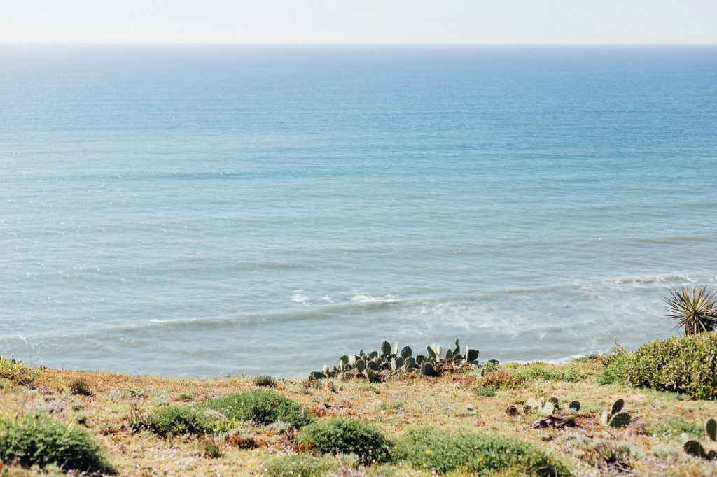 Spring Break 2017 // Solana Beach California | Shelby Lea Photography
